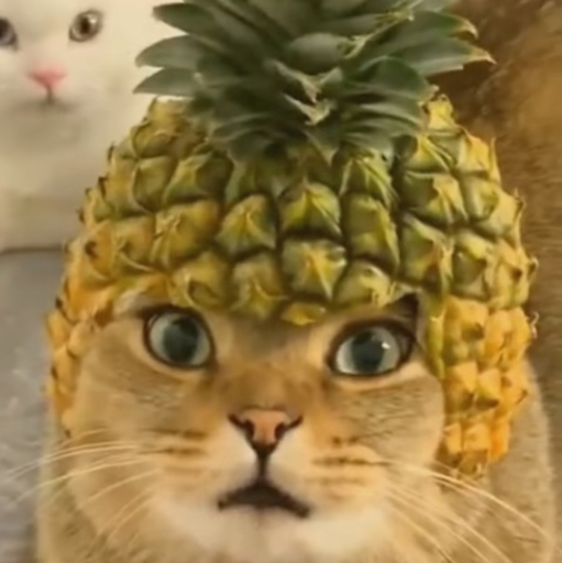 重案组总督察黄启法 