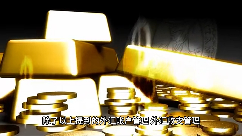 邑泊软件咨询:企业外汇资金管理