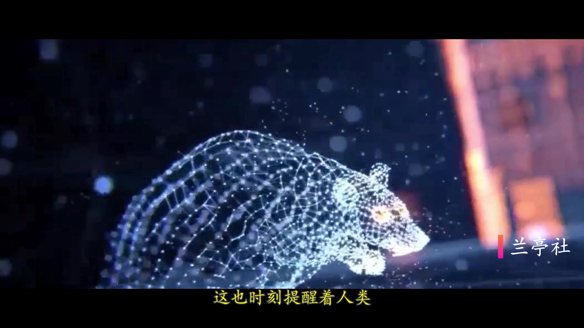 历史中最可怕的动物宿主病毒,三次爆发夺走2亿人生命