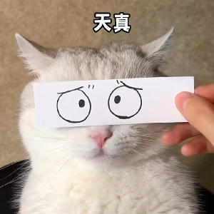 史提芬-汤姆 