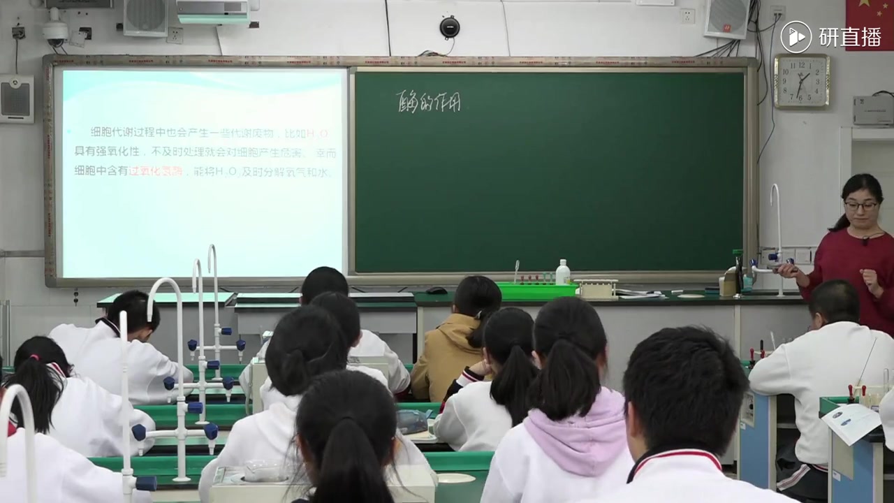 酶的作用——生物学科基于深度学习的单元教学设计实践