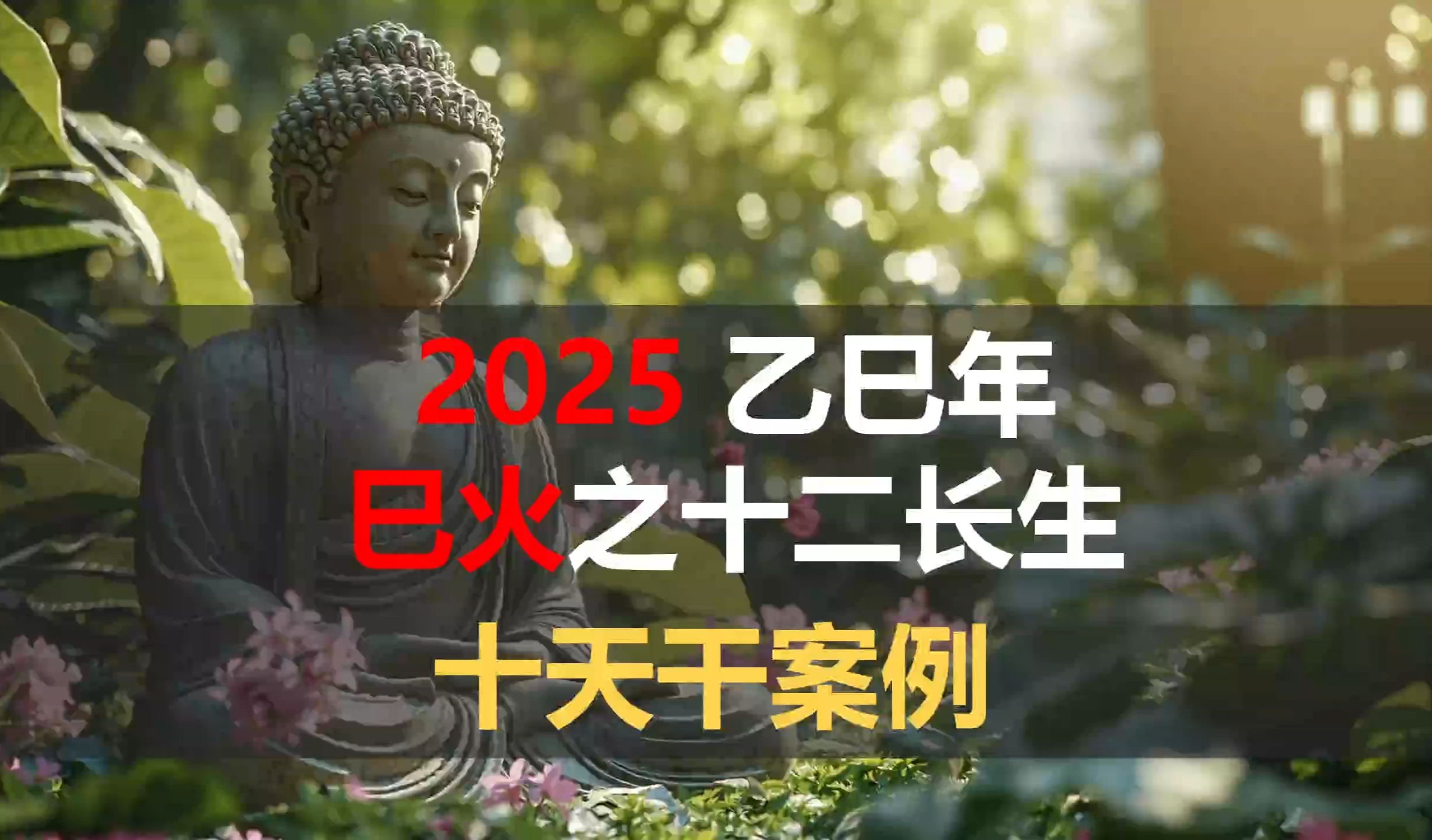 2025 巳火之十二长生 + 十天干案例