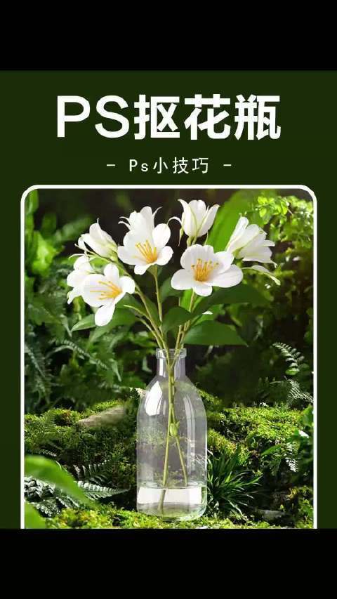 ps如何快速将透明花瓶抠出来,教你一招