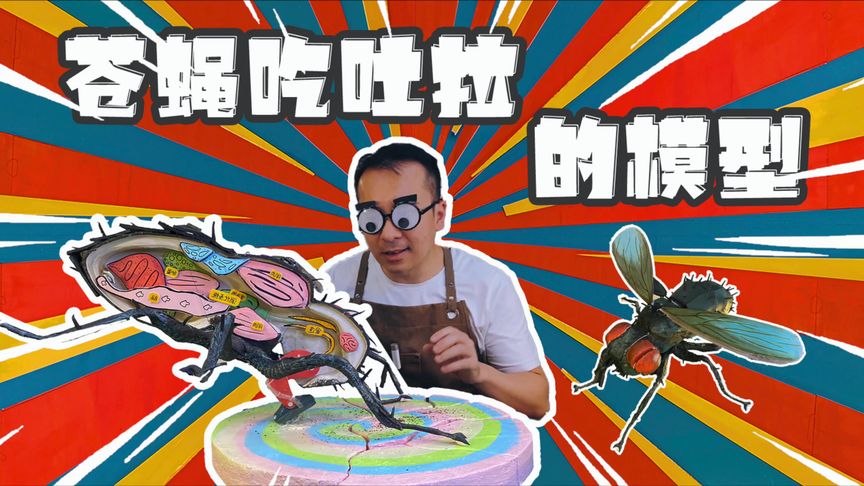 苍蝇搓手是为啥?边吃边吐还边拉!模型拆解苍蝇吃饭全过程