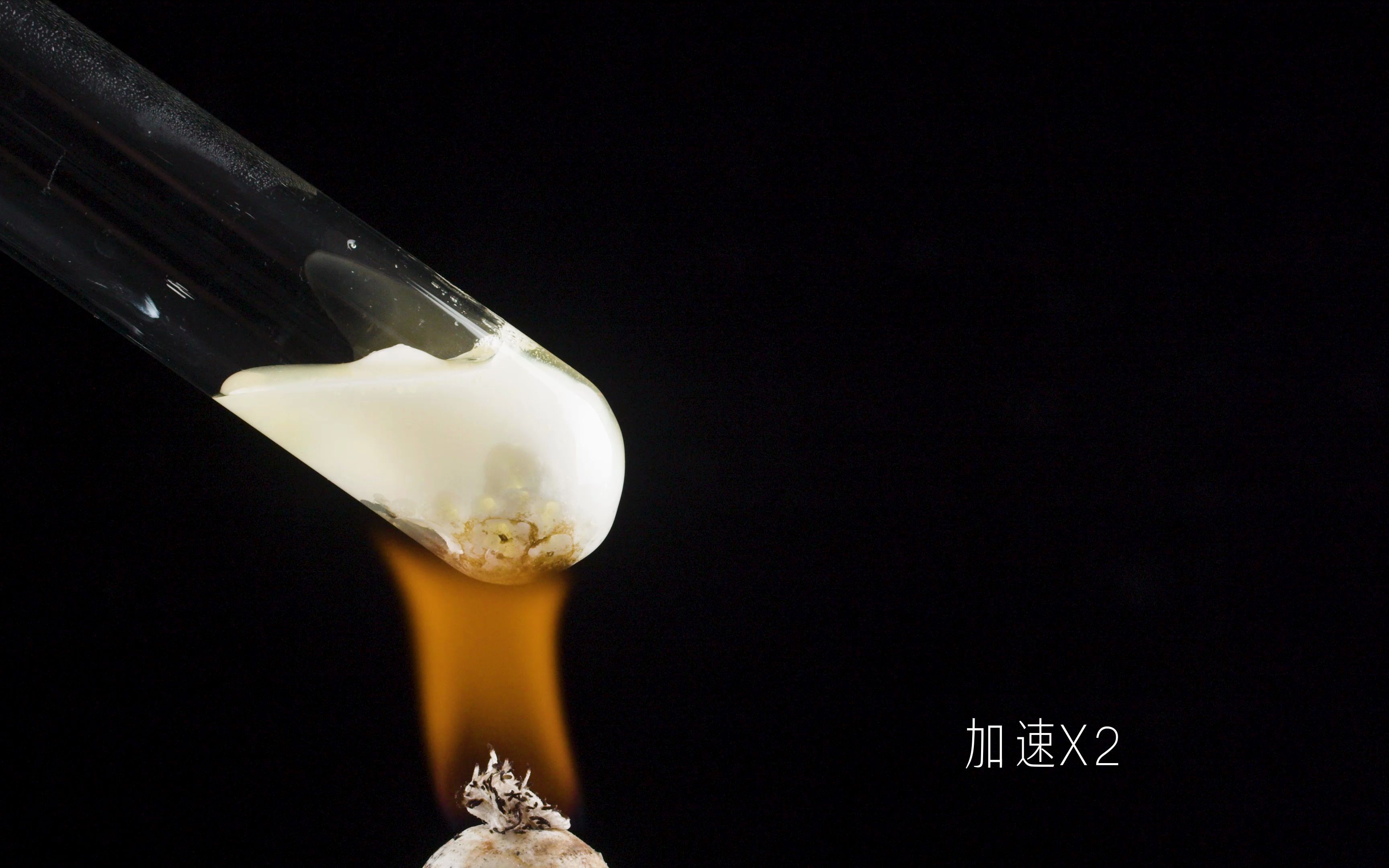 初中化学实验——蛋白质变性实验