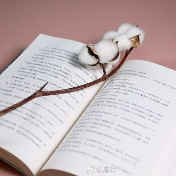 爱学习的莎莎521 