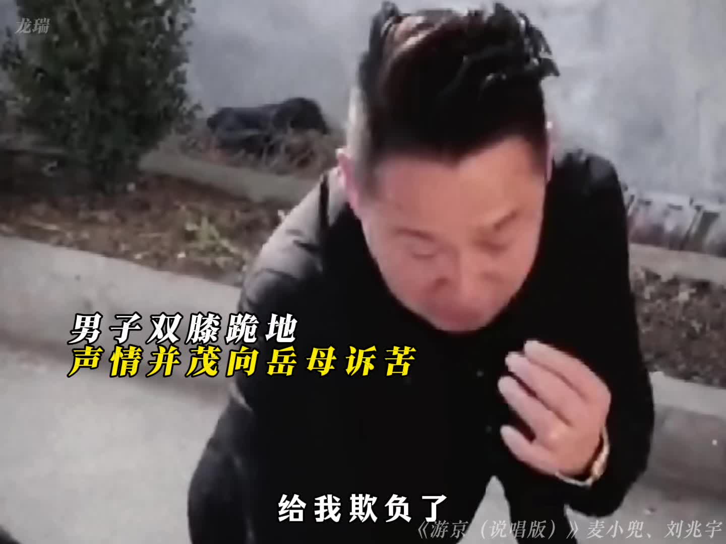 女婿一年的忍辱等的就是去丈母娘家#女婿告状