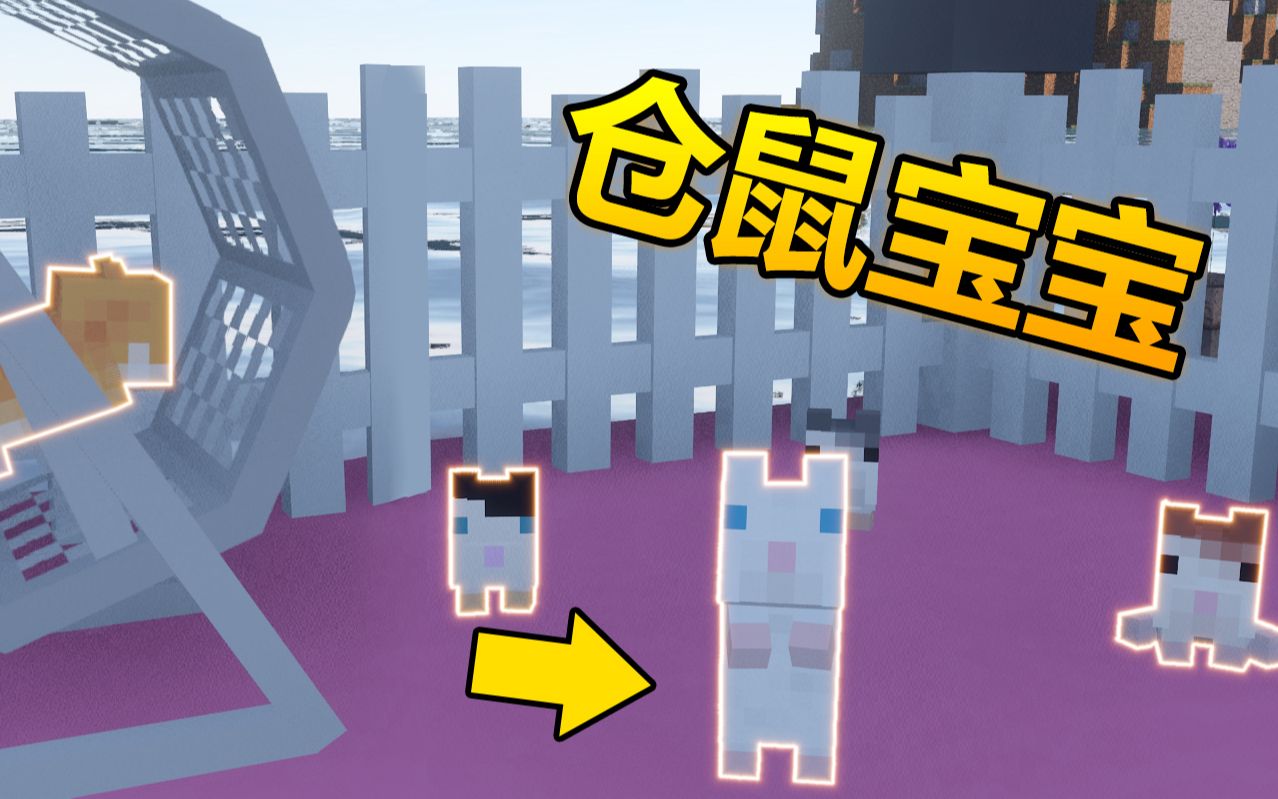 我的世界:如何喂养可爱的仓鼠!一不小心就可能会不见!