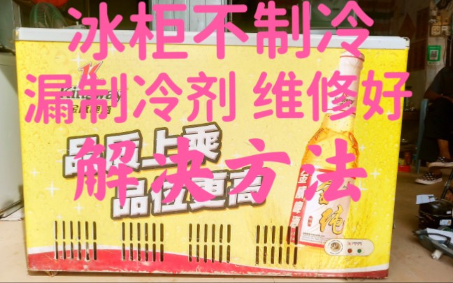 冰柜不制冷,管漏制冷剂,维修好,解决方法,第24,01集