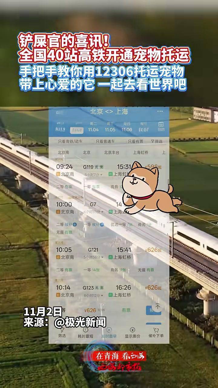 铲屎官的喜讯!全国40站高铁开通宠物托运,手把手教你用12306托运宠物,带上心爱的它一起去看世界吧#铲屎官#高铁#宠物托运