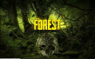 【森林The Forest】登山镐 电锯 收集路线_游戏热门视频