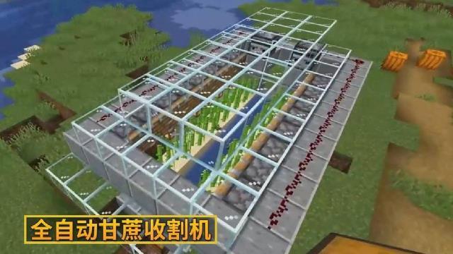 我的世界1.14:全自动甘蔗收割机,新照明工具灯笼派上.