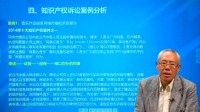...维权和诉讼策略及最新司法解释解读 第8集 十大知识产权诉讼案例分析