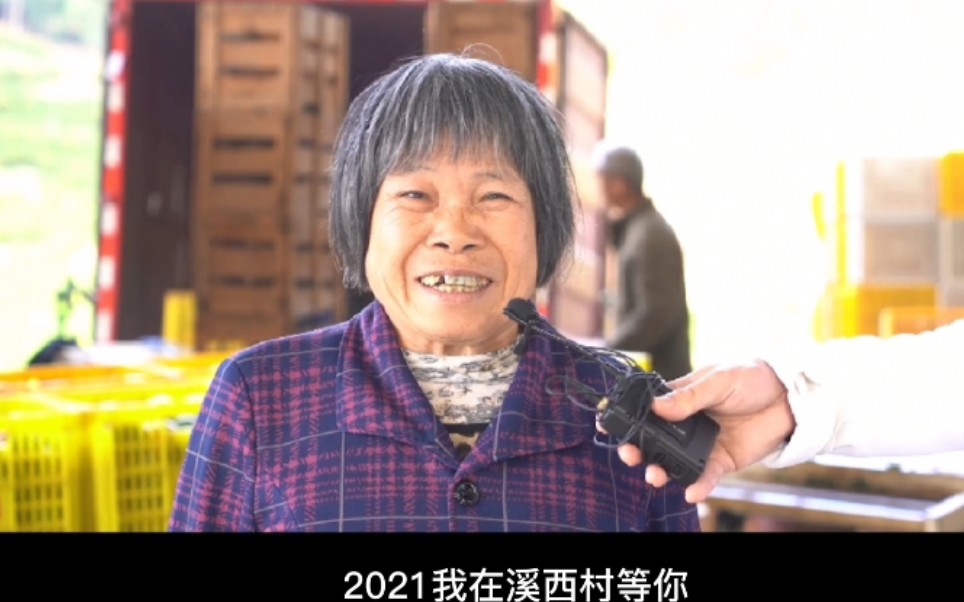 【挑战杯】深入乡村看振兴!