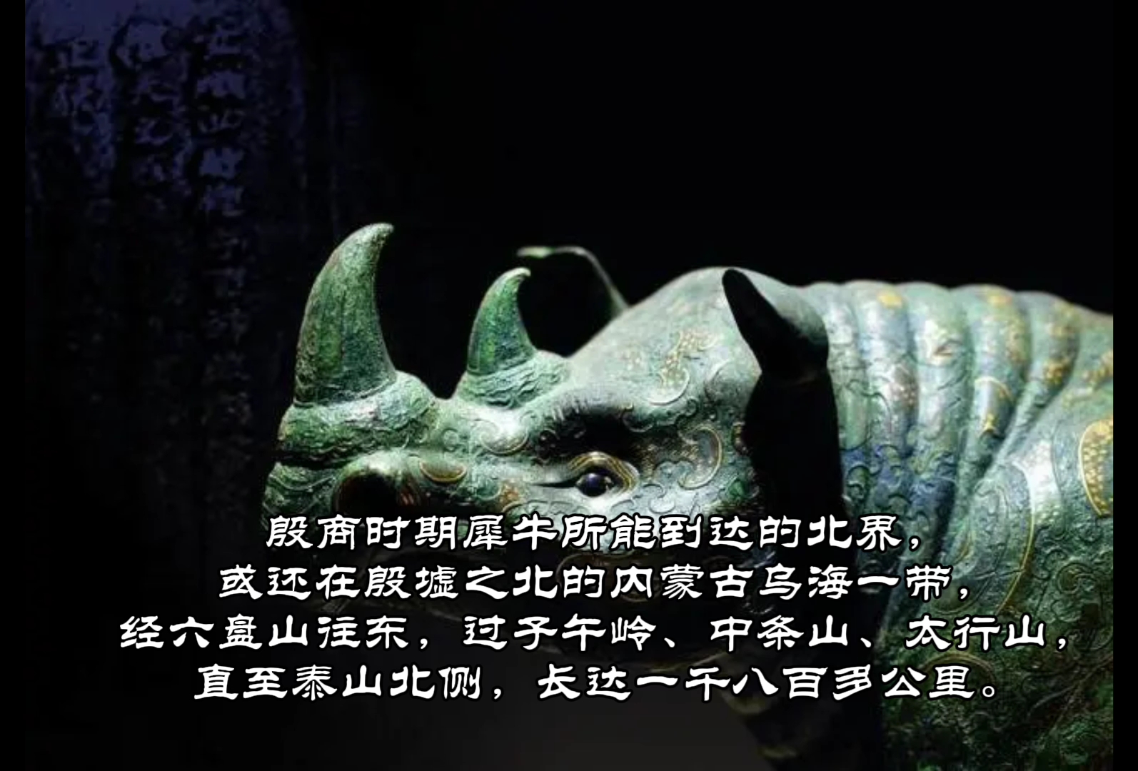 灭绝动物故事14 中国犀牛