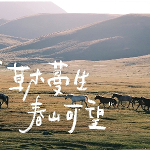 那就让我变成熊猫吧 