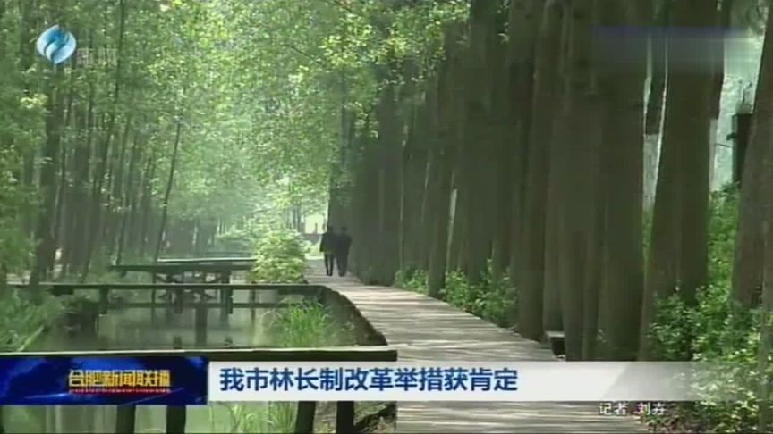 我市林长制改革举措获肯定,委托企业经营加政府补助的模式