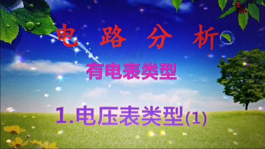 电路分析(有电表):1.电压表类型(1)