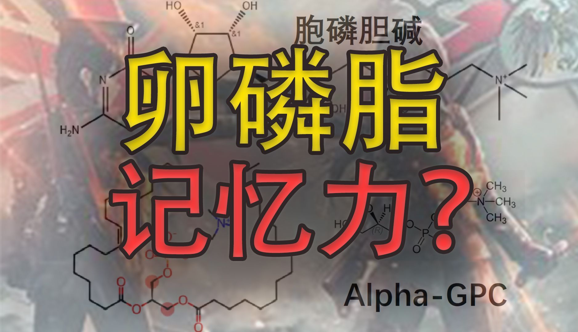 【健康科普07】“聪明药”Alpha-GPC:与卵磷脂,胞磷胆碱对比,作用原理