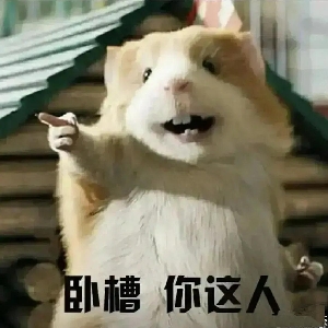 哼哈小小将军 