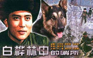 【国产老电影】白桦林中的哨所(1982)