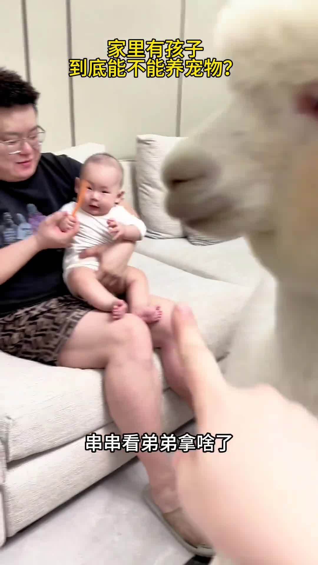 我认不但可以养,而且有家庭