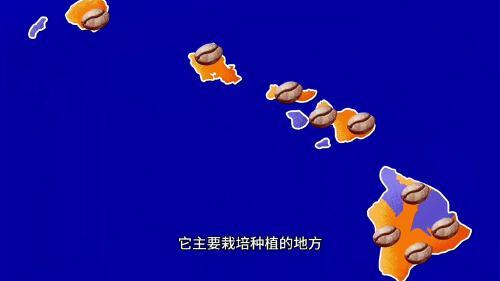 揭秘田川咖啡豆种植全过程!从种子到醇香,一杯高品质咖啡的诞生