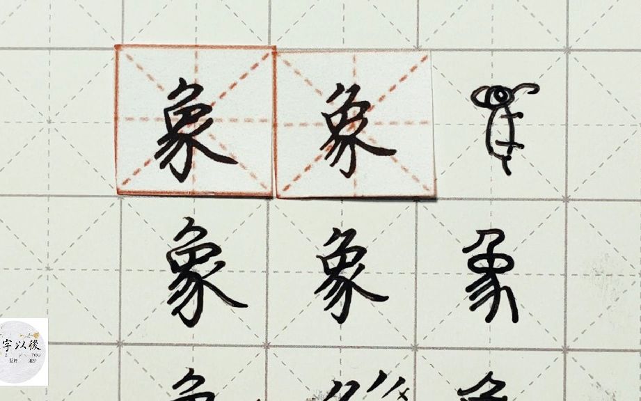 练字干货,独体字“象”如何写好看,详细讲解 练字以后原创 硬笔千字文...