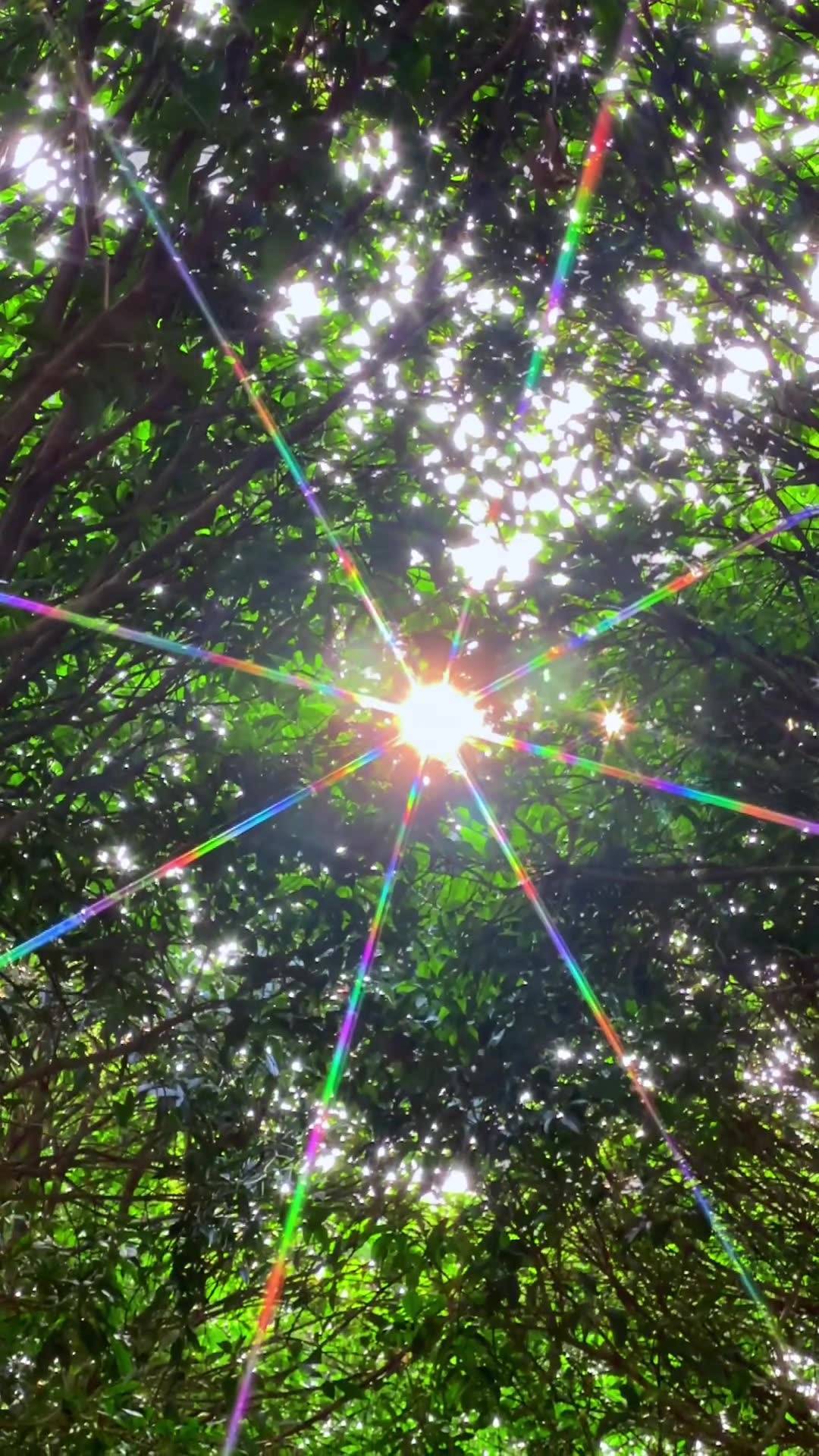 原来光芒万丈的效果是这样拍出来的太好看了