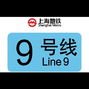 人满为患的9号线 