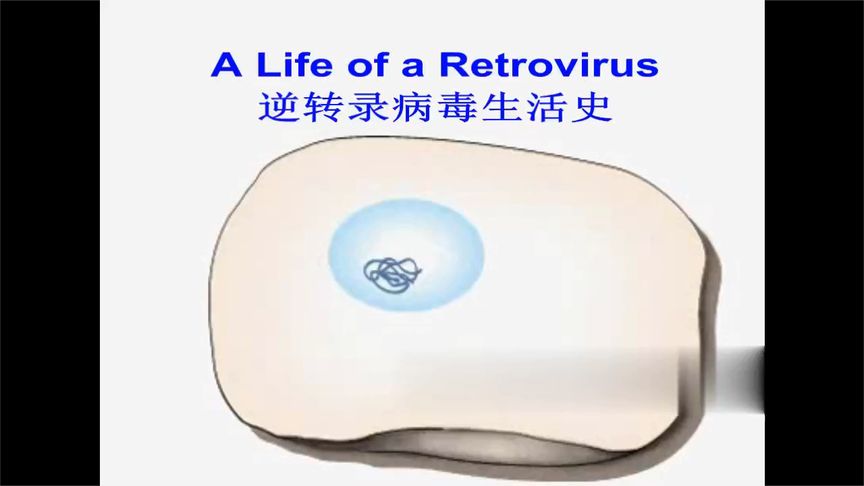 逆转录病毒生活史 (英语中字)