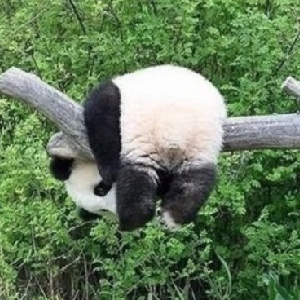 风中晒太阳- 