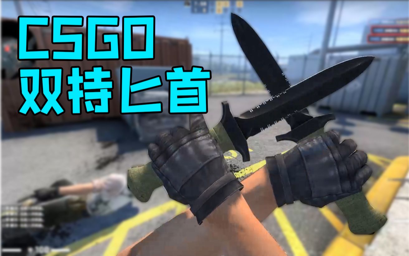 [CSGO]我的默认匕首竟然可以双持了?!