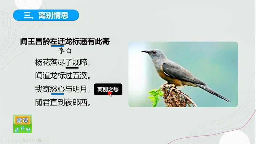 语文微课案例点评与微课提升方法