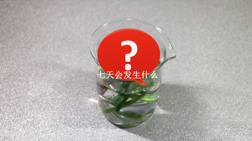 新冠肺炎疫情为什么传播那么快?就像这杯水,微生物繁殖太快了
