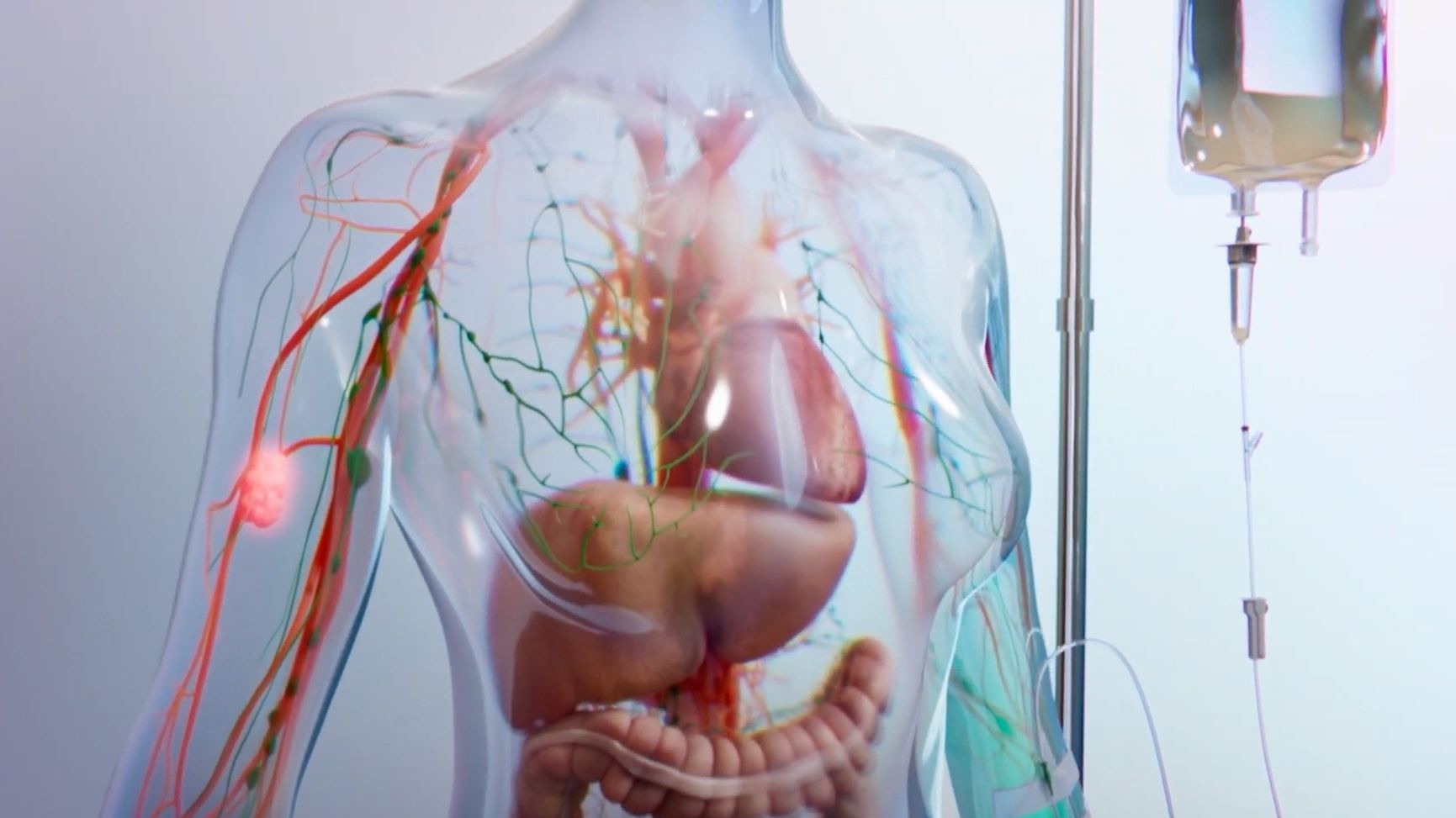 【3D医学科普】一个视频带你了解癌症治疗锚定免疫治疗方法(熟肉 | ...