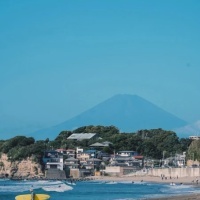 小兔爱说话