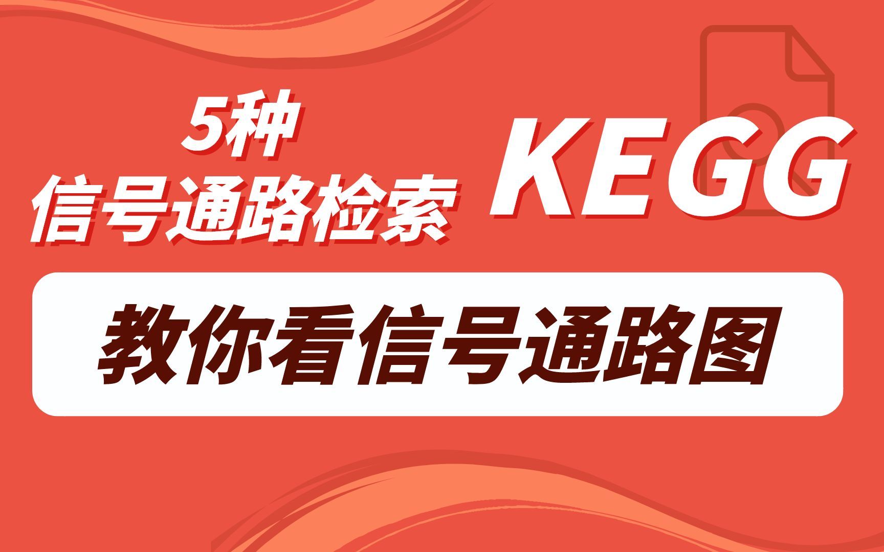 医学热点知识合集 | WAPK ,Wnt,PI3K等12条热门信号通路讲解