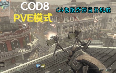 使命召唤8 生存模式 DLC地图 C4除了炸人之外还能炸小鸟哦