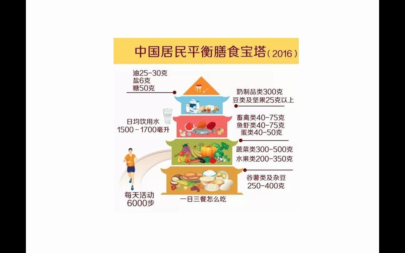 健康膳食的专业模板-中国居民膳食指南