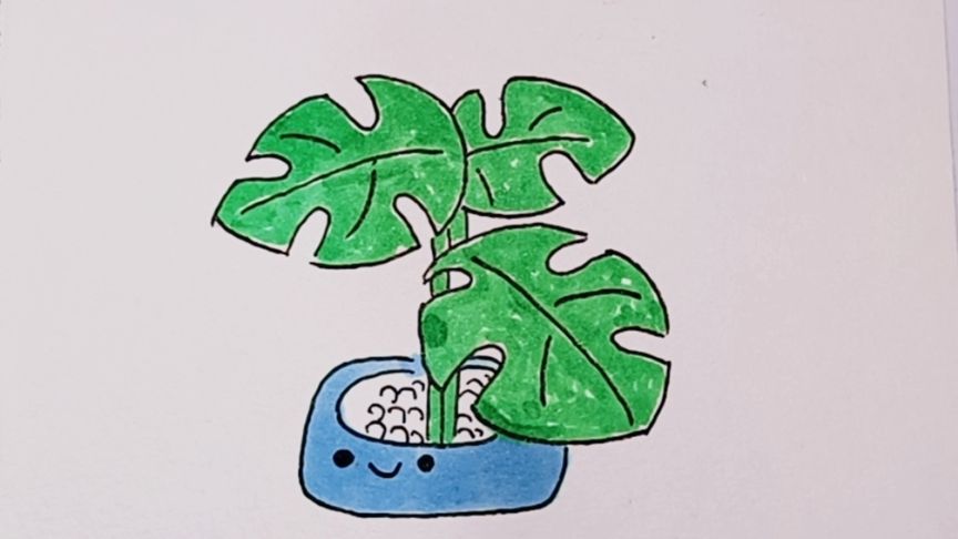 龟背竹绿植盆栽的画法,绿植盆栽简笔画