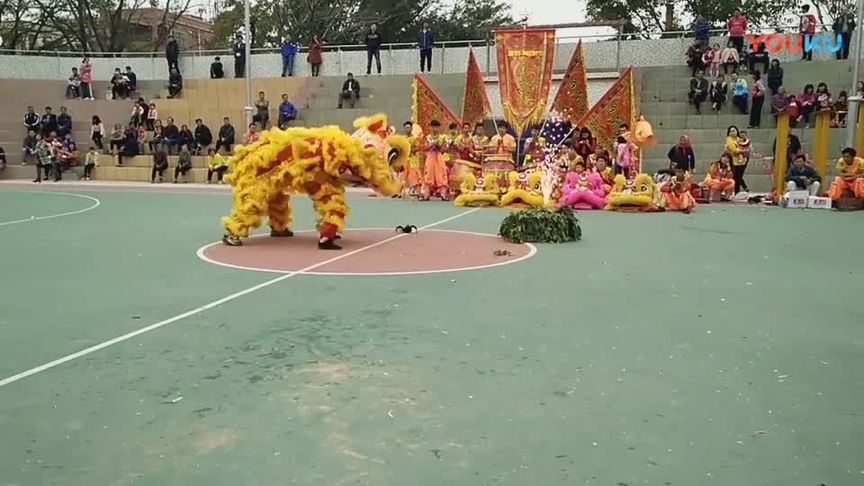 新年醒狮表演:醒狮玩蜘蛛,醒狮神态表现活灵活现