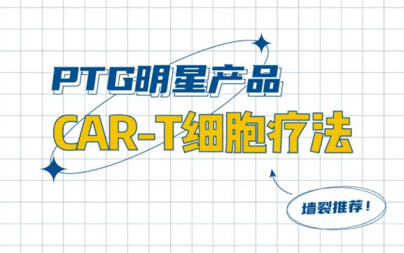 PTG明星产品|CAR-T细胞疗法相关