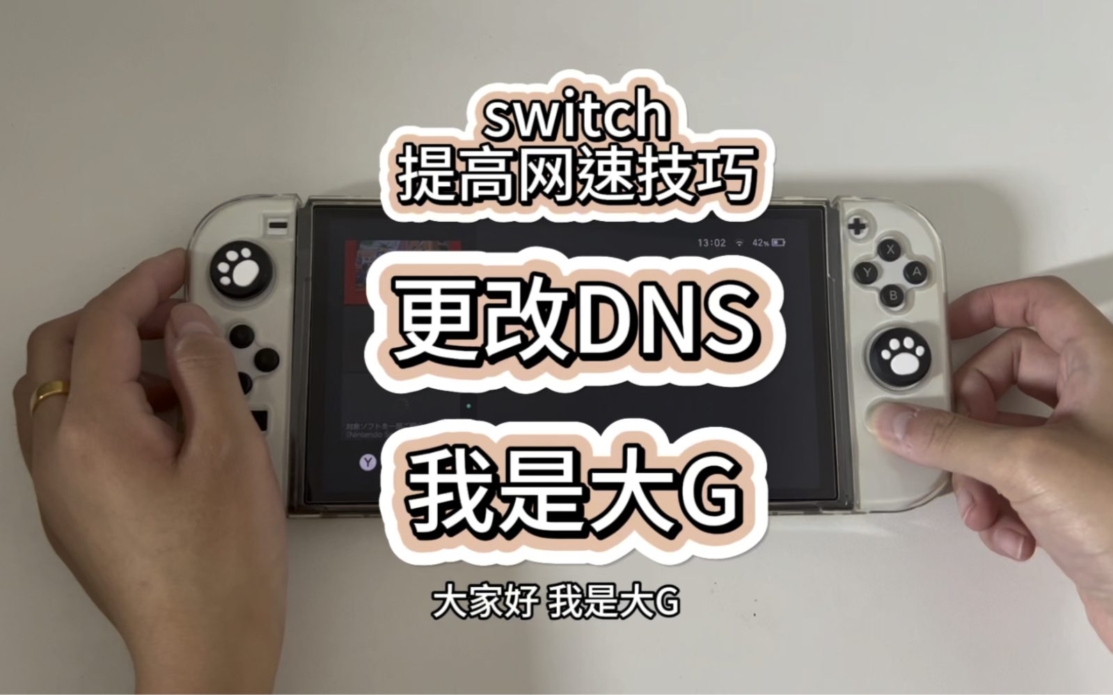 switch提高网速 更改Dns操作方法