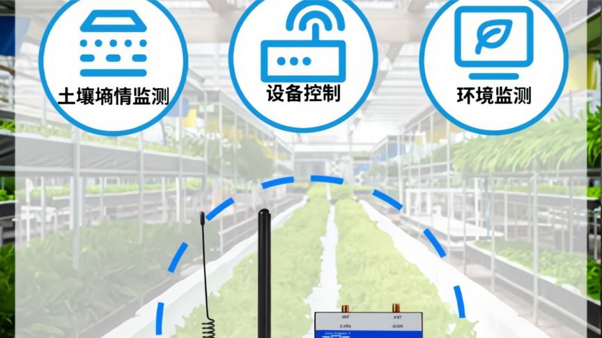 农业物联网LoRa技术应用于温室大棚种植