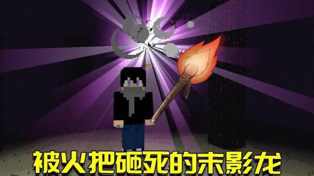我的世界Mod:用根火把击杀末影龙末影龙有史以来最憋屈的一次