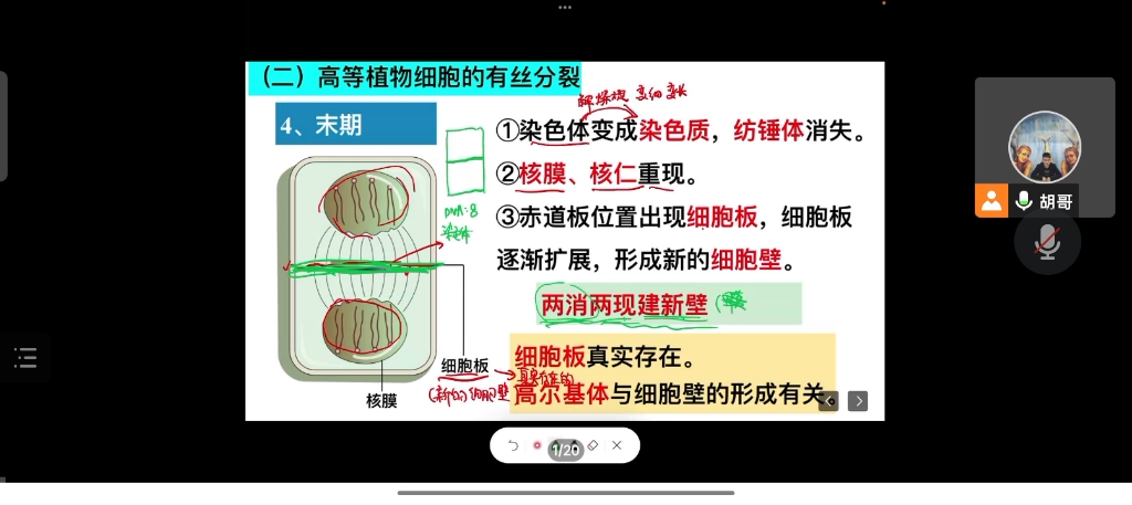 必修一重难点生物细胞的增殖