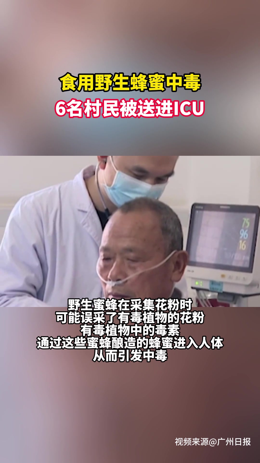 食用野生蜂蜜中毒,6名村民被送进ICU。