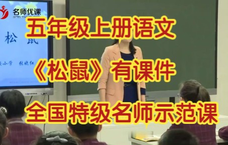 部编版小学语文五年级上册《松鼠》有课件教案 全国特级名师示范课