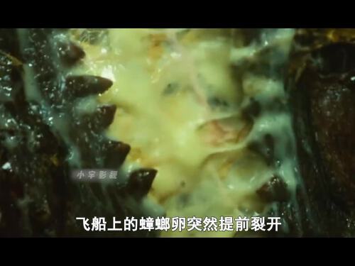 一口气看完系列影视解说一口气看完系列因为一个片段看了整部剧